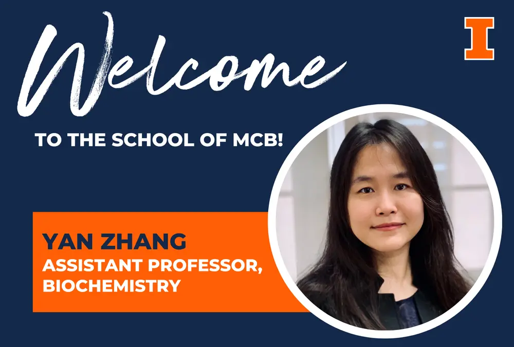 Meet Yan Zhang, new assistant professor of biochemistry | School of Molecular & Cellular Biology ...